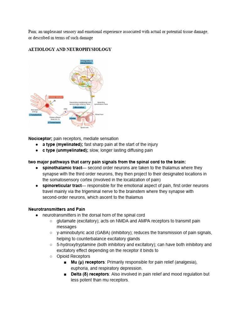 Understanding Pain: Types and Mechanisms | PDF