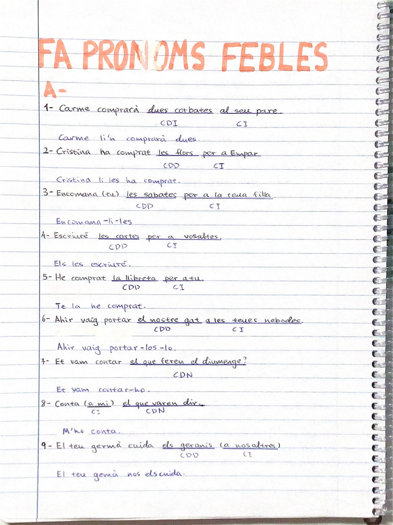 FA Pronoms Febles | PDF