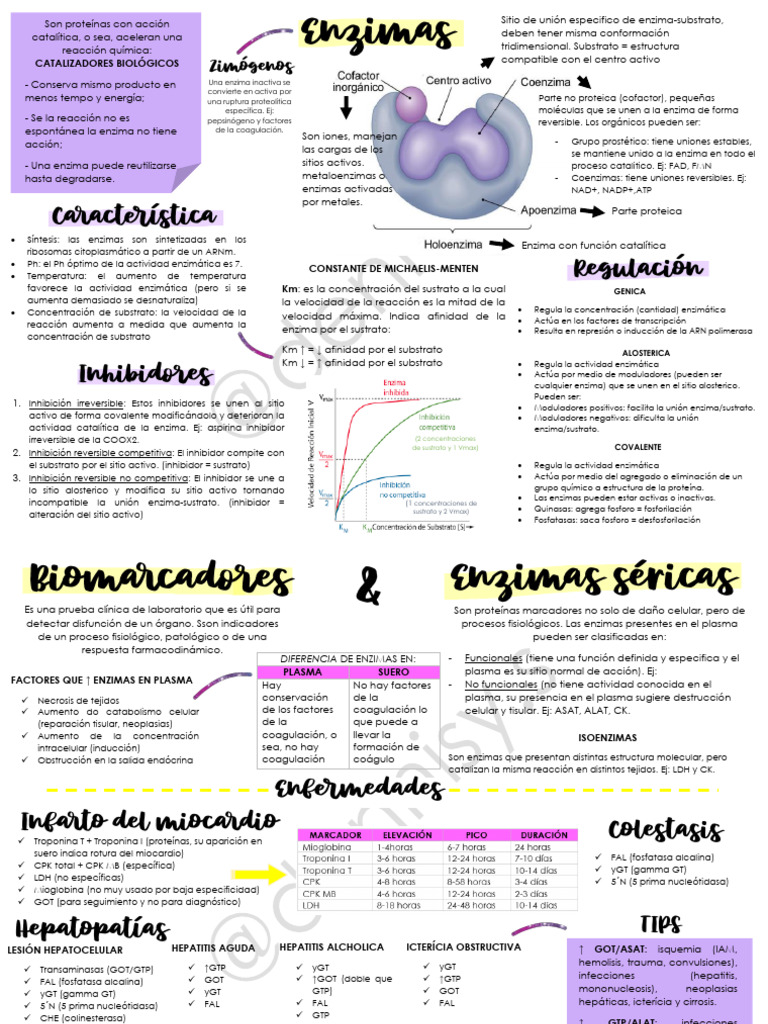 Fichas Era1 Bioq | PDF | Enzima | Trifosfato de adenosina