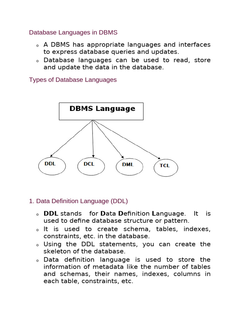 Database Languages in DBMS | PDF | Databases | Computer Data