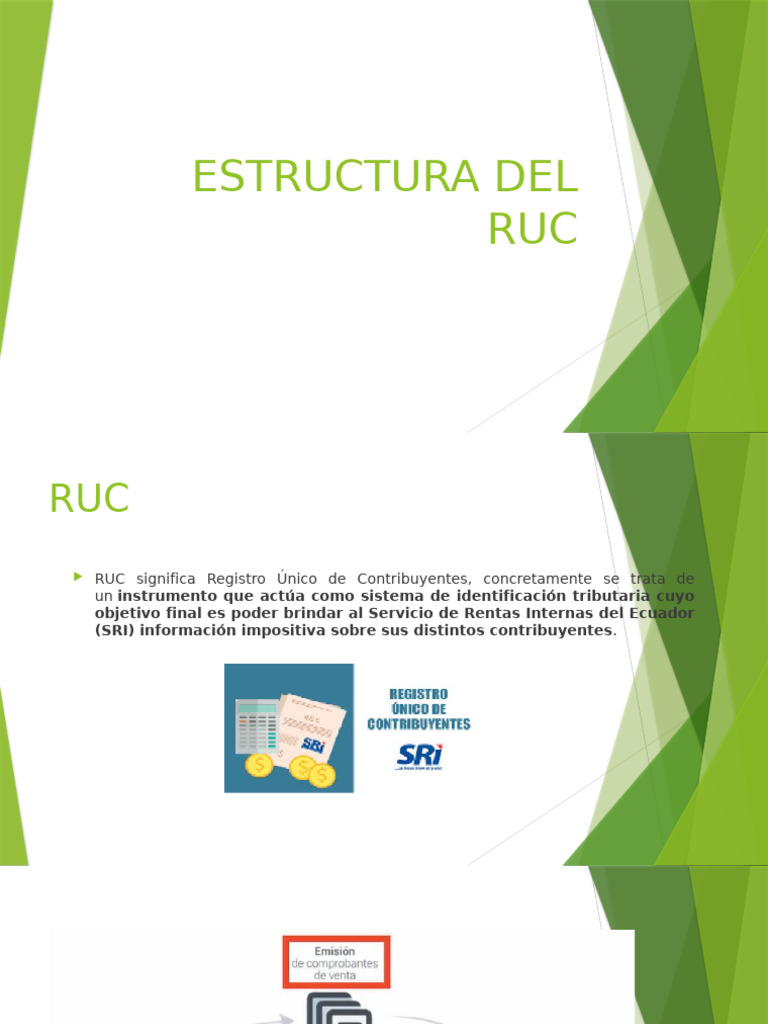 E) Estructura Del Ruc | PDF | Documento de identidad | Ecuador