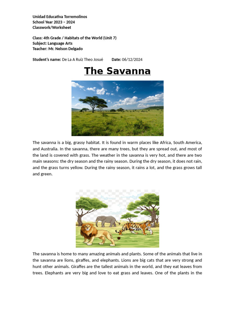 savanna | PDF