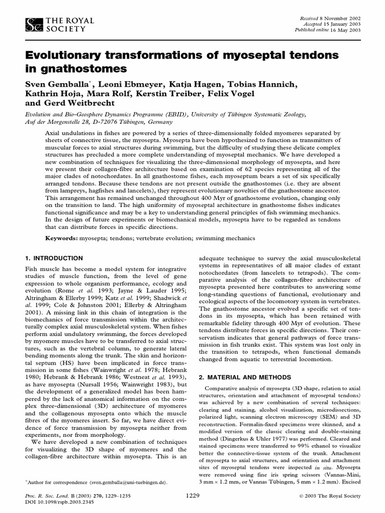Gemballa Et Al, 2003, Transformations of Myoseptal Tendons in Gnathostomes | PDF | Vertebra ...
