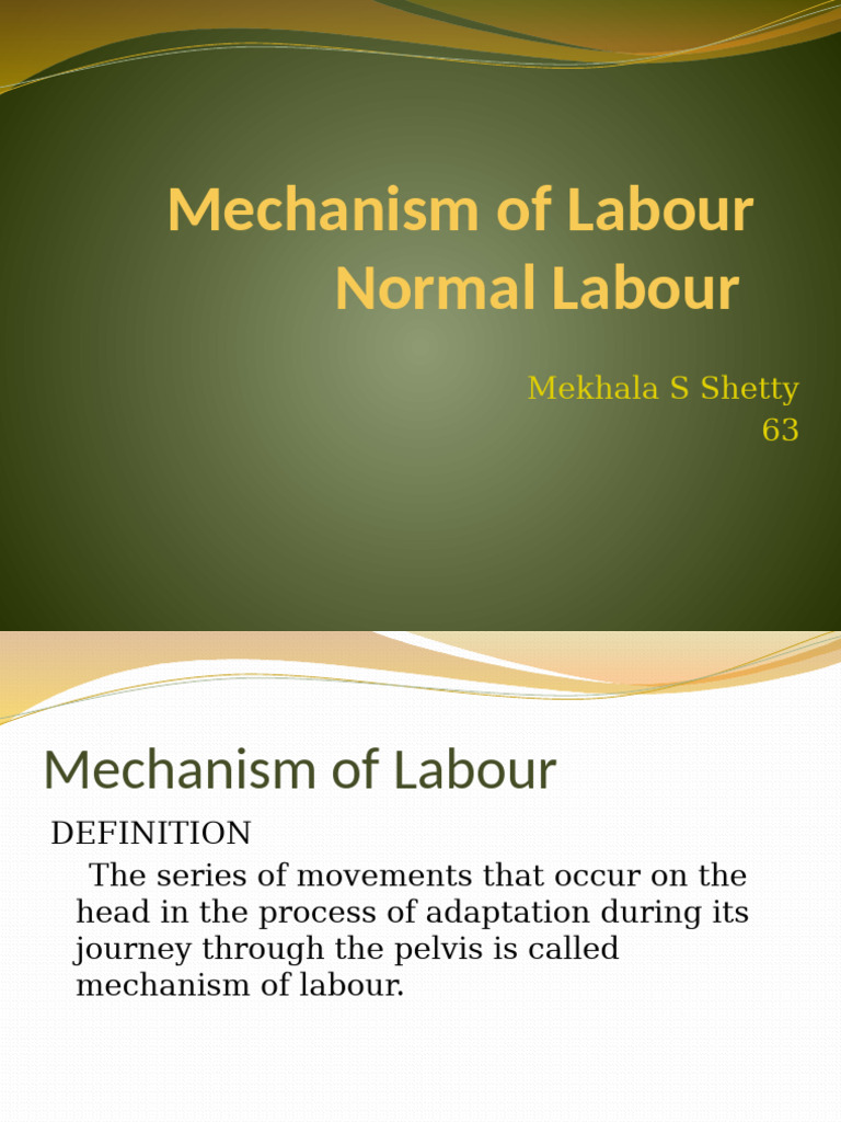 Mechanism of Labor | PDF | Pelvis | Anatomical Terms Of Motion
