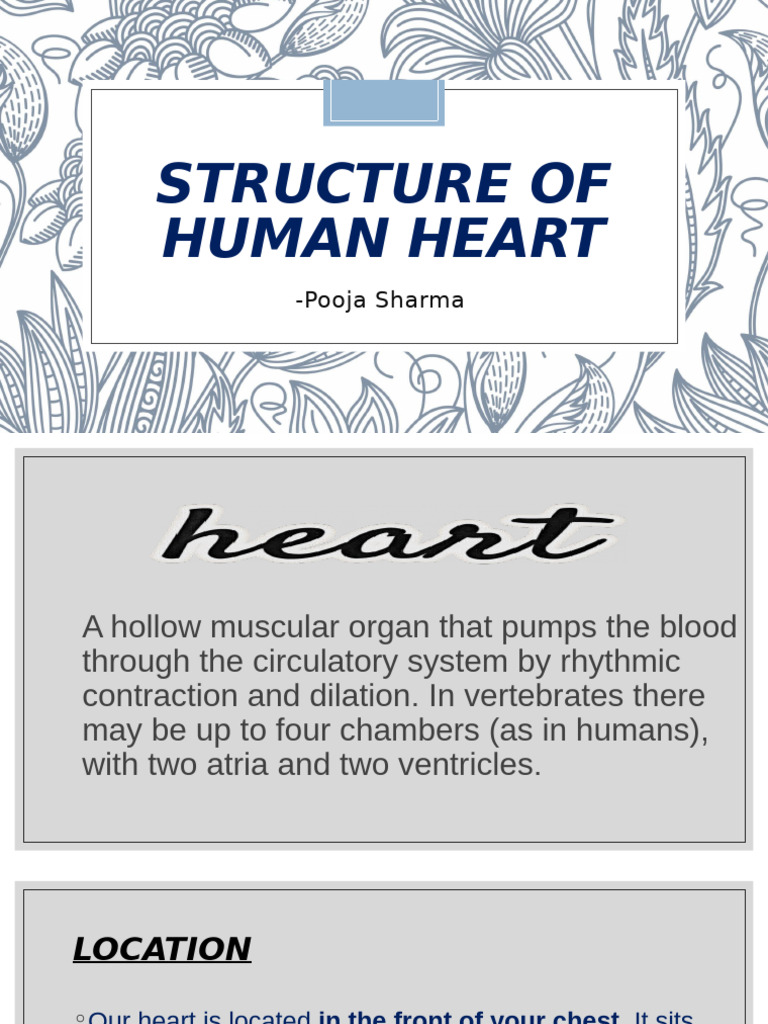 Structure of human heart PPT | PDF