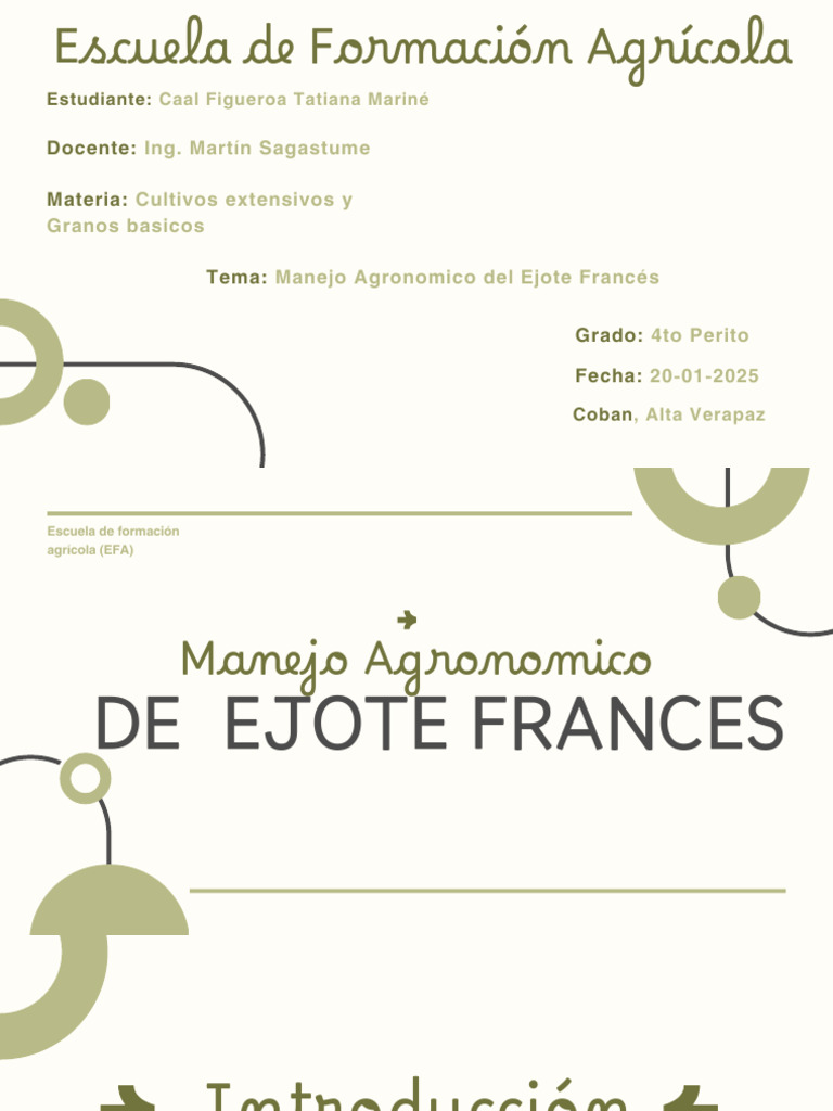 Manejo Agronomico de Ejote Frances | PDF | Agricultura | Riego