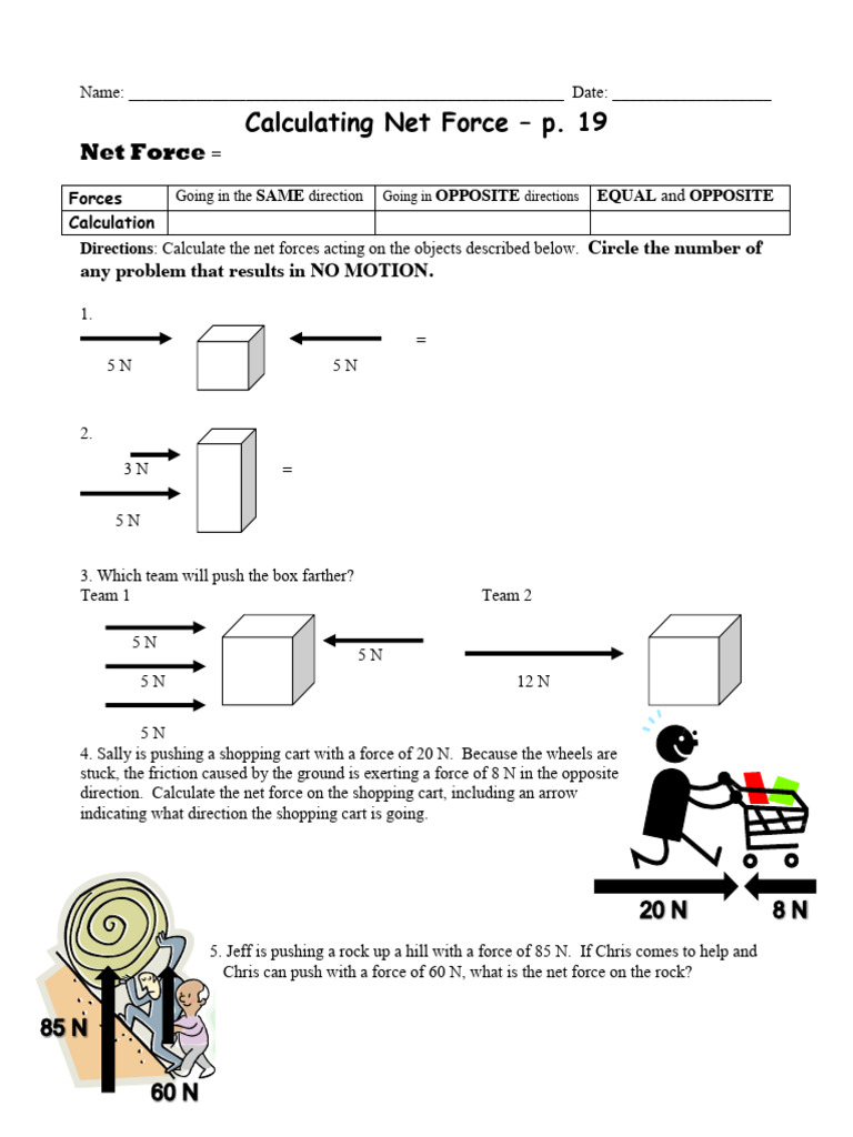 Net Force Worksheet | PDF | Force | Physics