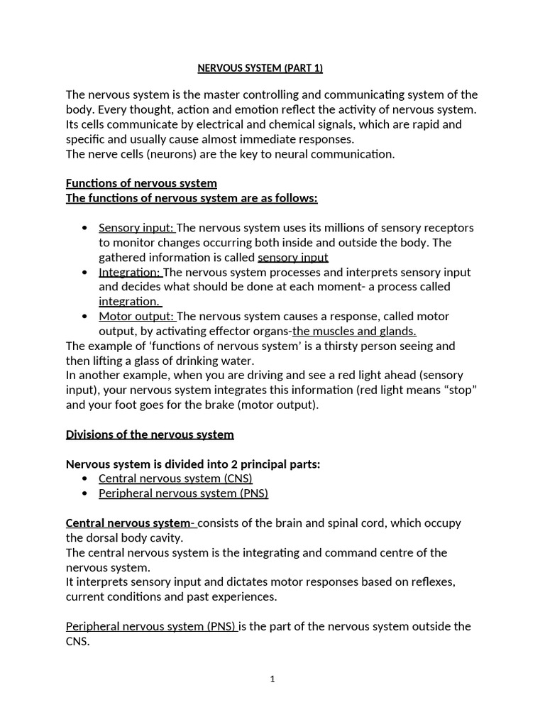 Part 1 Nervous System | PDF | Nervous System | Motor Neuron
