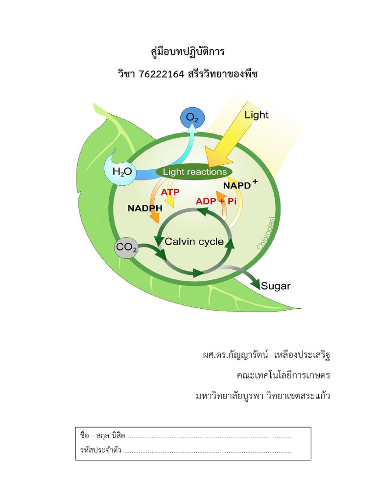 1. คู่มือ lab plant physio 2-66 | PDF