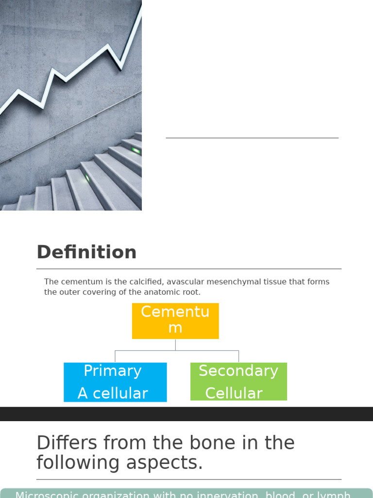 Cementum | PDF | Bone | Dental Anatomy