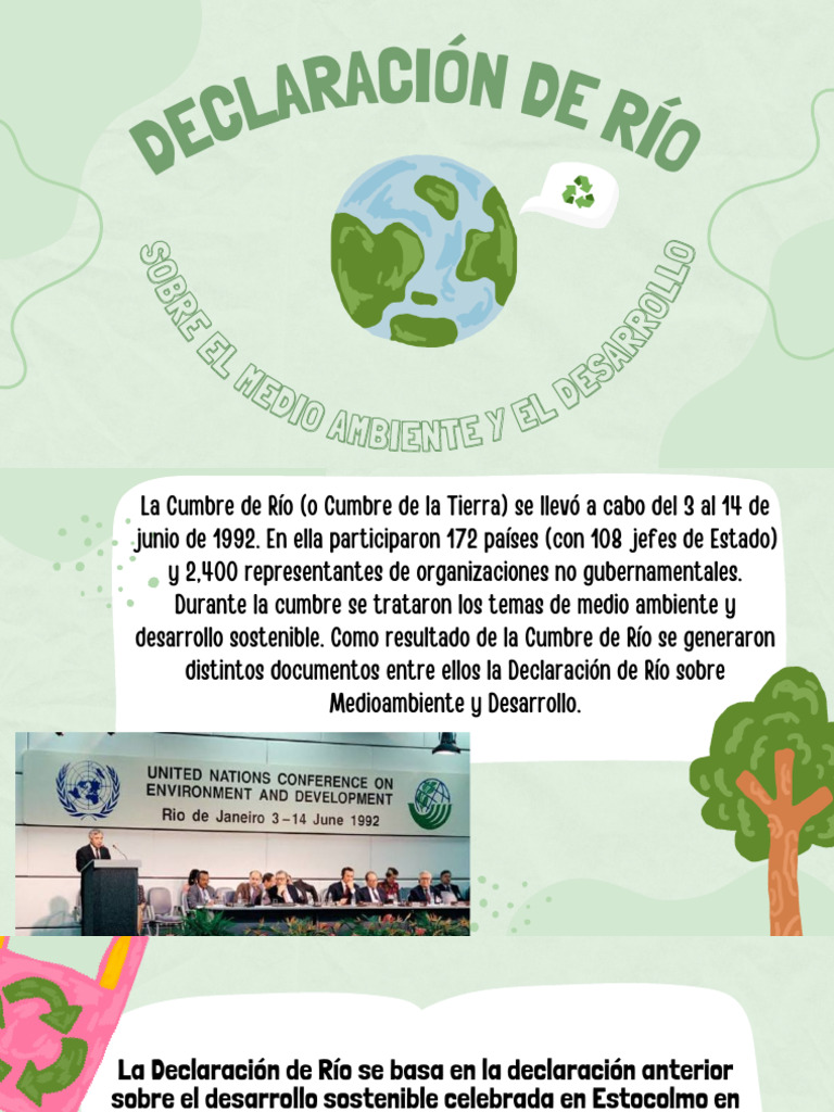 Declaración de Río | PDF | Entorno natural