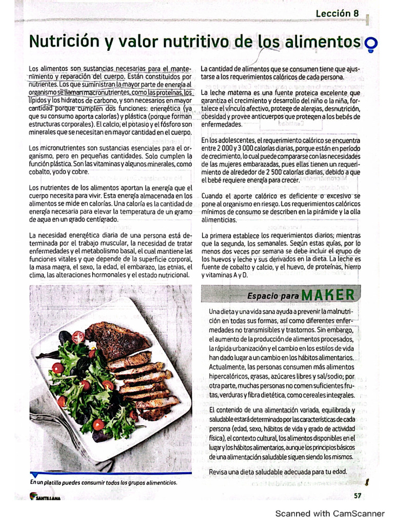 Segundo Básico. Documento de Apoyo. | PDF