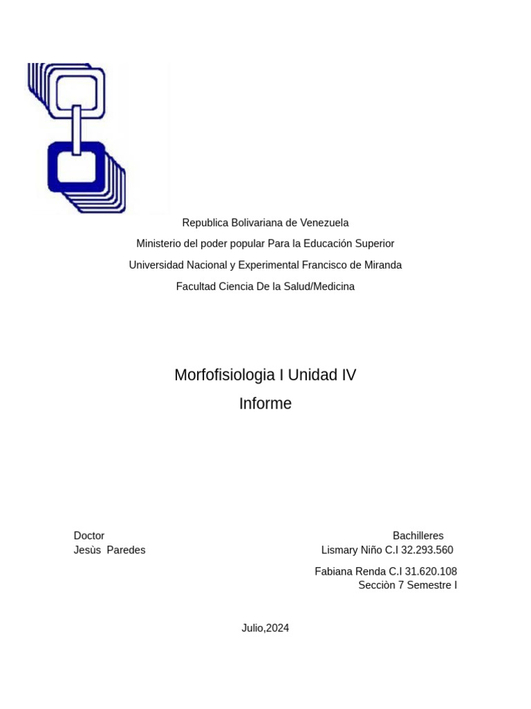 Informe Morfo | PDF | Músculo | Neurona