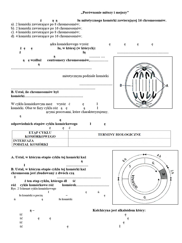 Mitoza - Mejoza Zadania | PDF