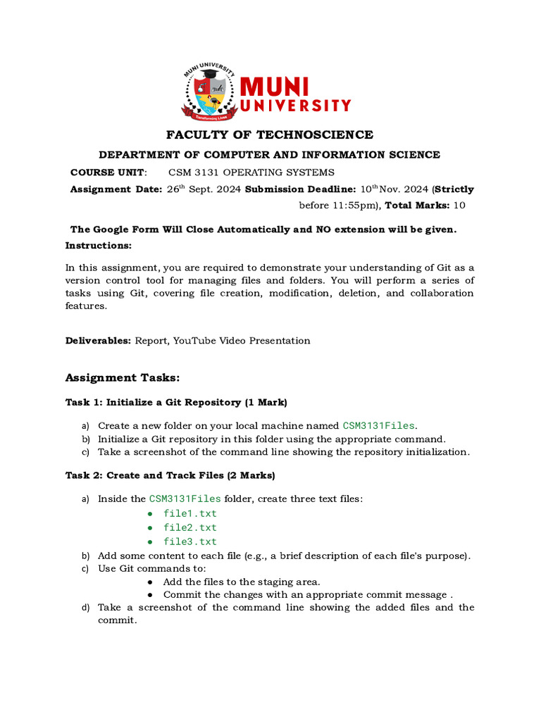 CSM 3131 Individual Demo Assignment | PDF | Computer File | Version Control