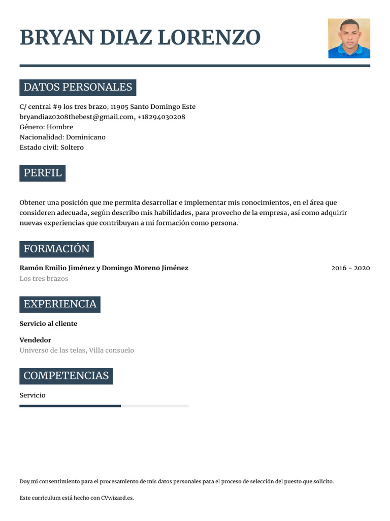CV Bryan Diaz Lorenzo | PDF