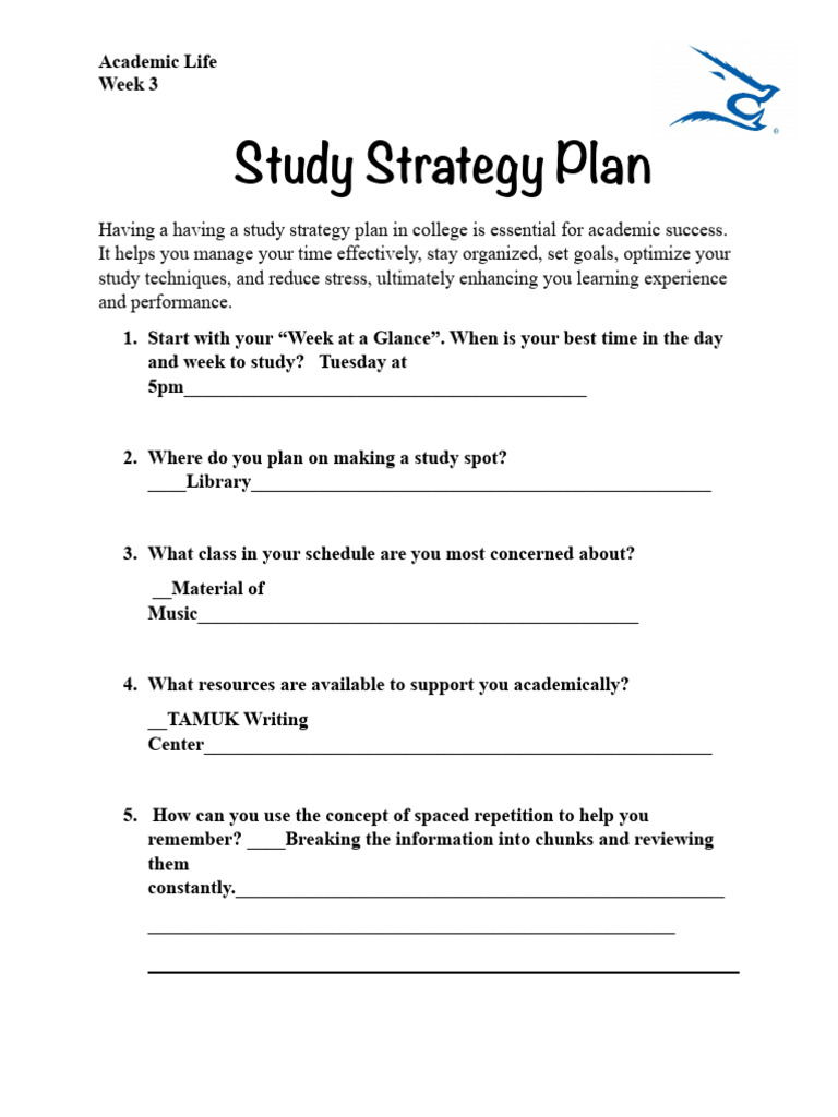 Strategy Study Plan F24 | PDF