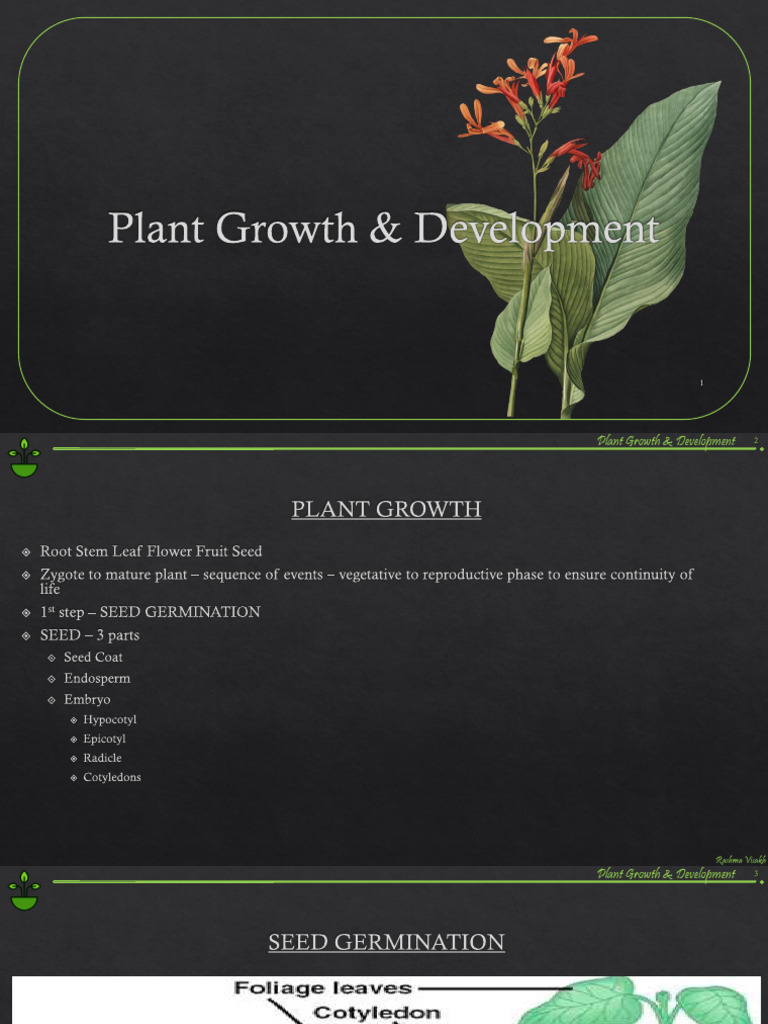 Plant Growth & Developmen | PDF | Botany | Plant Morphology