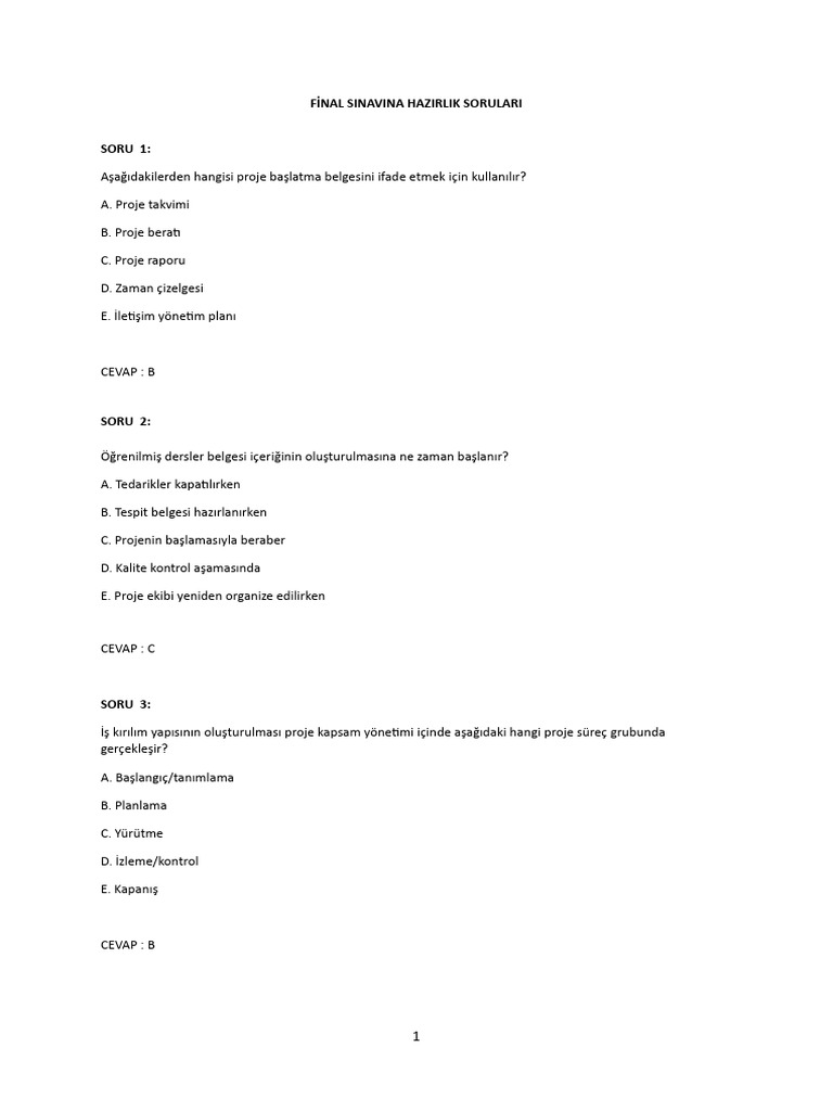 Final Calisma Sorulari Proje | PDF