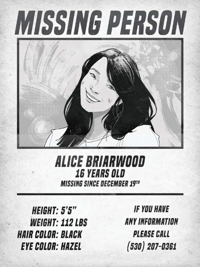 Alice Is Missing - Missing Person Posters | PDF