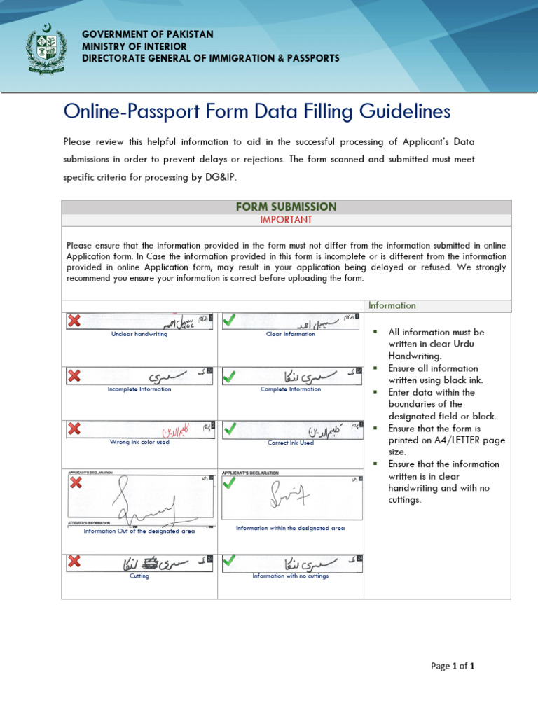 Passport Form Filling Guidelines | PDF