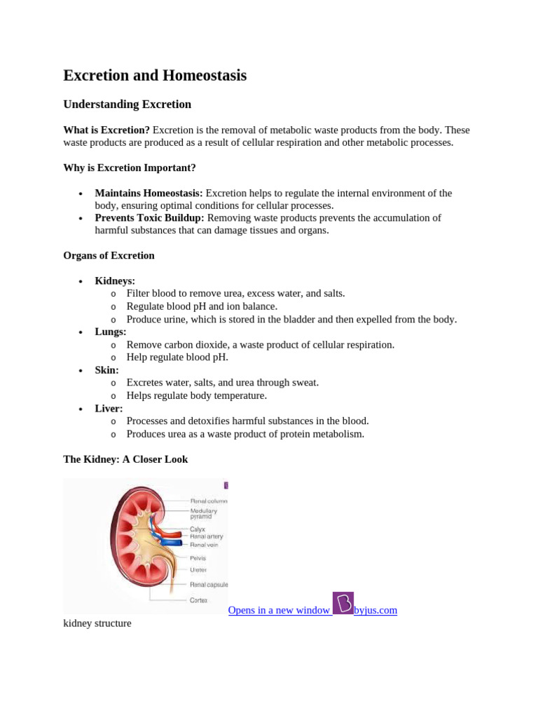 Excretion and Homeostasis | PDF | Kidney | Organ (Anatomy)