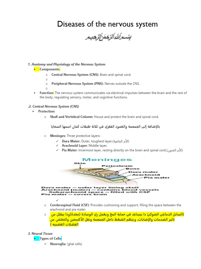 Diseases of The Nervous System Copy 3 | PDF | Stroke | Myelin