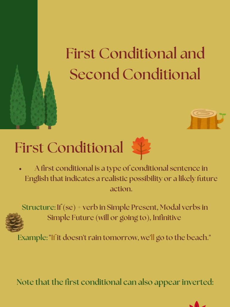 English Conditional Sentences Guide | PDF
