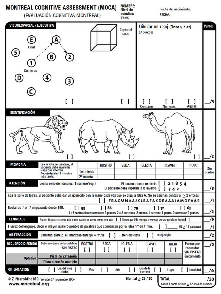 MOCA | PDF