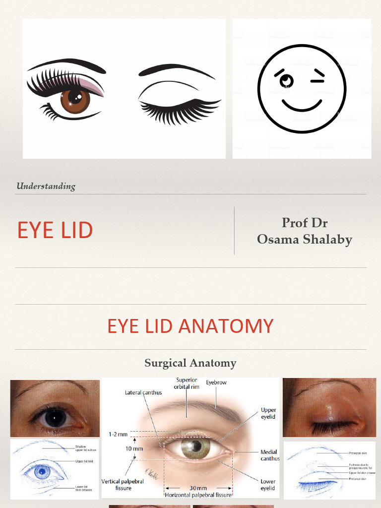 1eye Lid For DS 2 | PDF | Human Eye | Ophthalmology