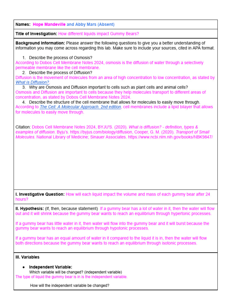 Gummy Bear Lab Template | PDF | Osmosis | Cell Membrane