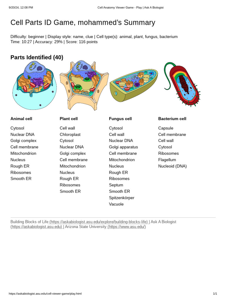 Cell Parts ID Game, Mohammed's Summary | PDF
