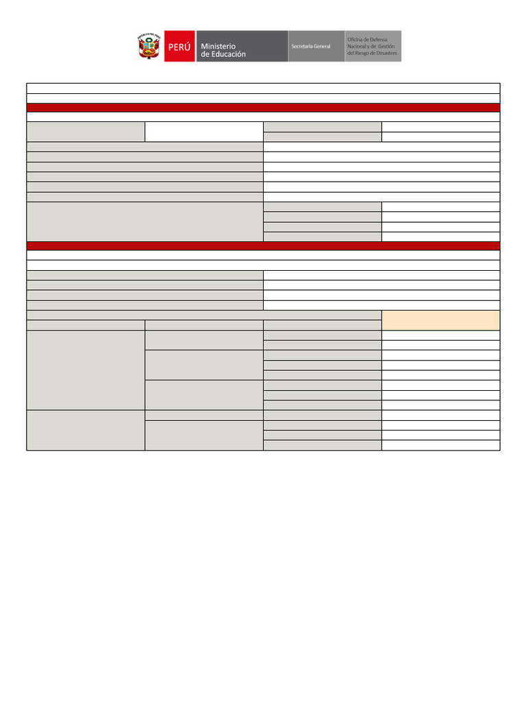 Ficha_Estado_Situacional_438497 | PDF | Educación primaria