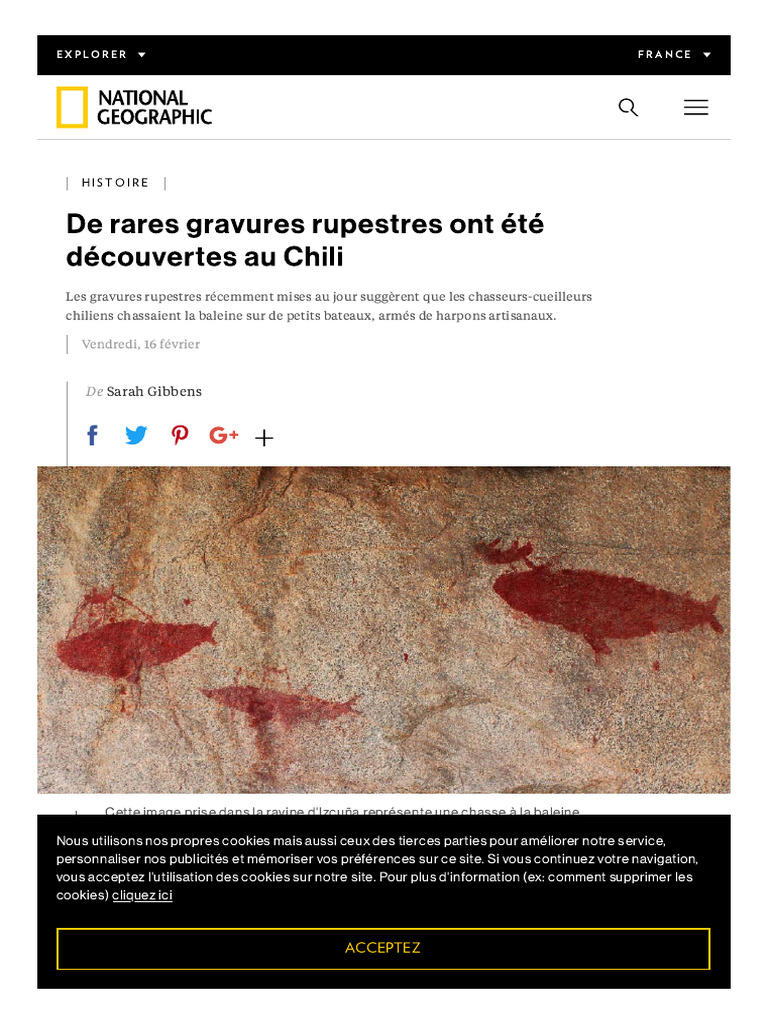 National Geographic, France - de Rares Gravures Rupestres Ont Été ...
