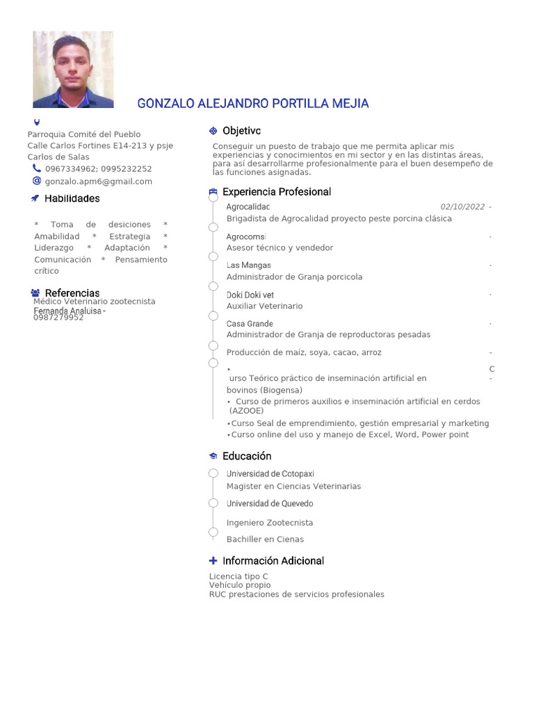 Hoja de Vida Alejandro Portilla | PDF | Business