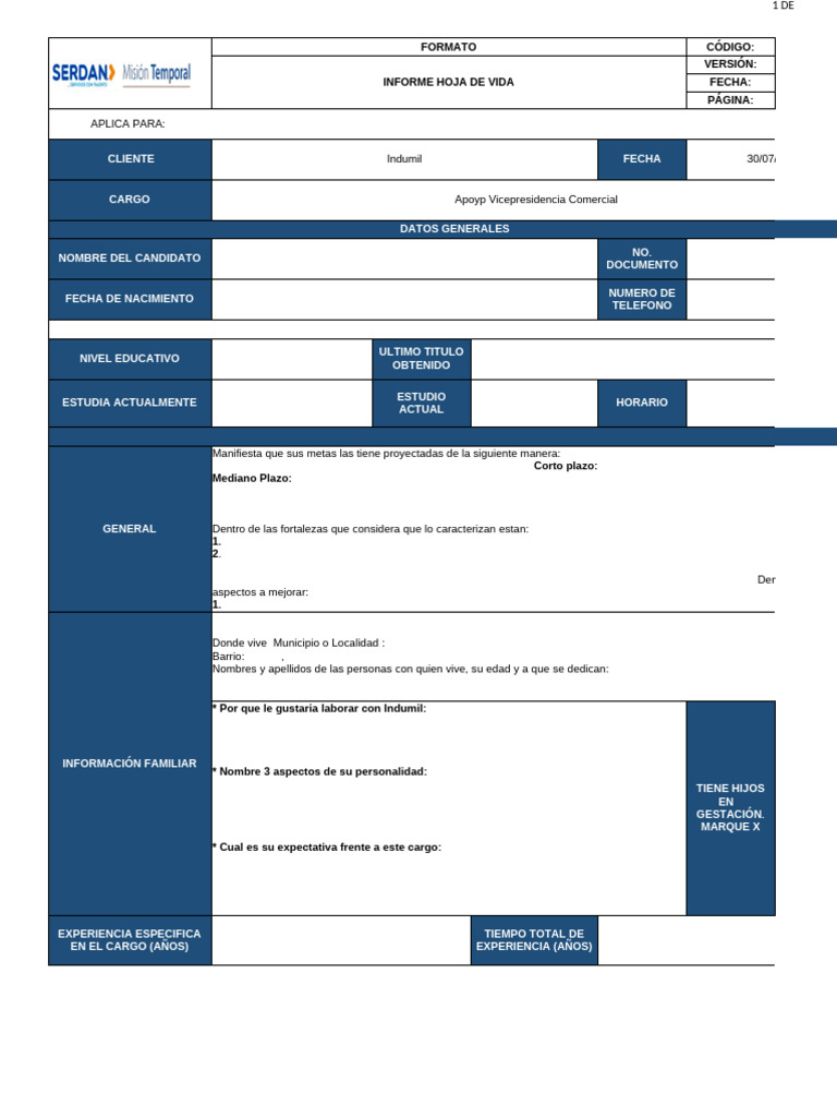FORMATO DE ENTREVISTA SELECCION | PDF | Informática