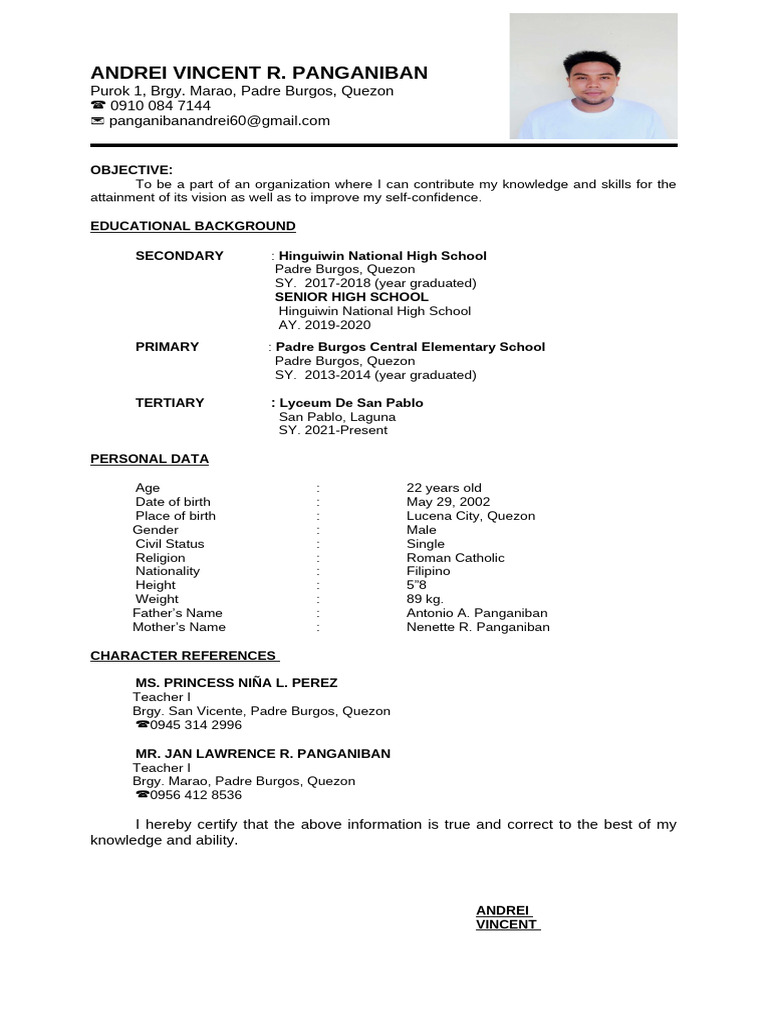 andrei resume | PDF