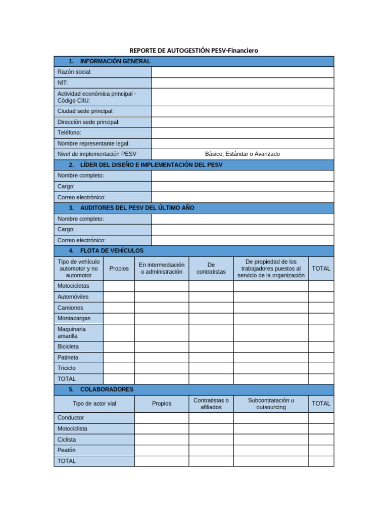 Ficha Reporte de Autogestión PESV | PDF | Outsourcing | Auditoría