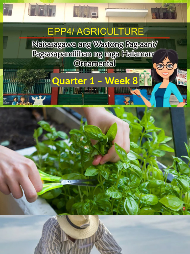 Agri 4 Week 8 (Autosaved) | PDF