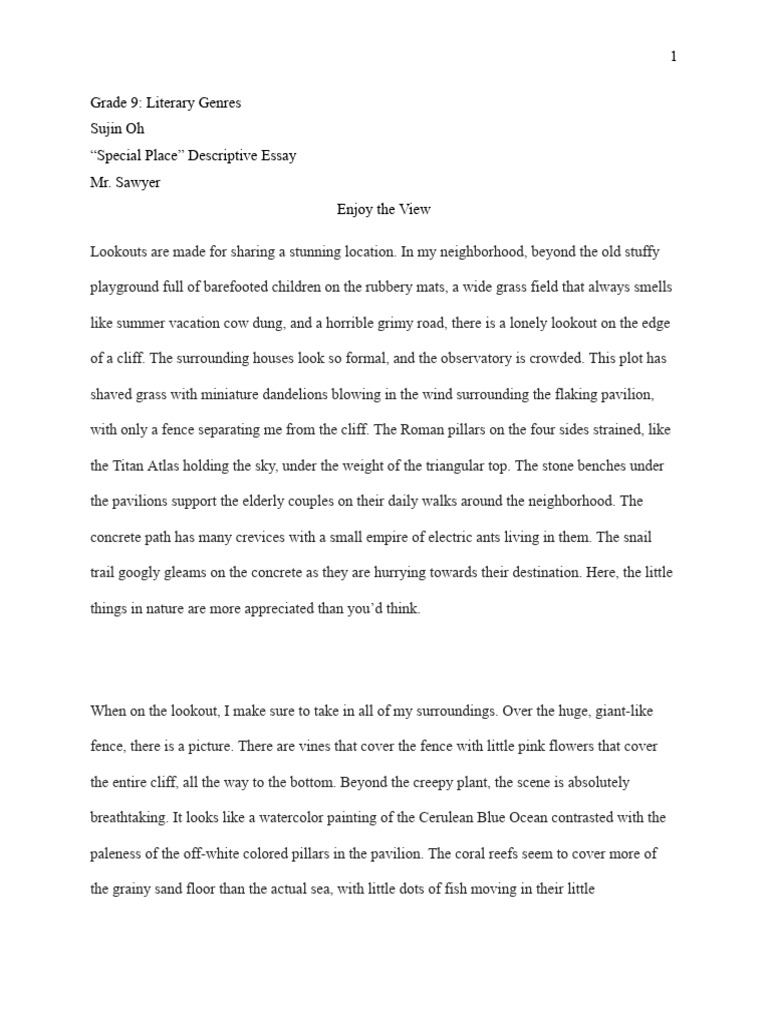 First Draft of Descriptive Essay | PDF