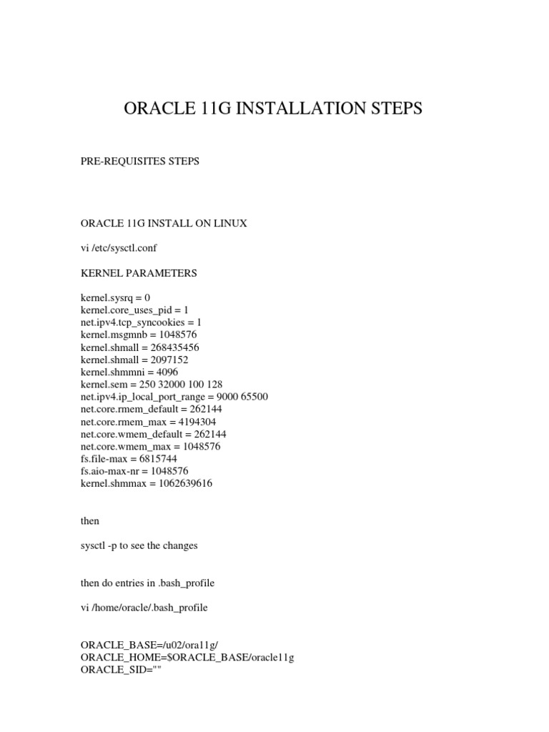 Oracle11g Install Steps Pdf File System Databases