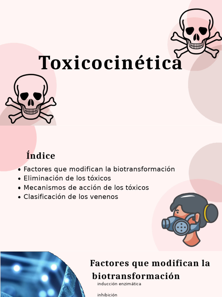 Toxicocinética II. | PDF | Toxicidad | Biotransformación