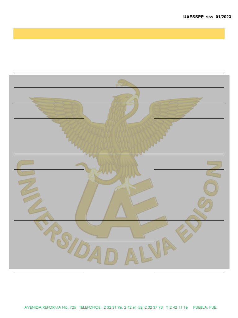 Formulario Solicitud de SS | PDF