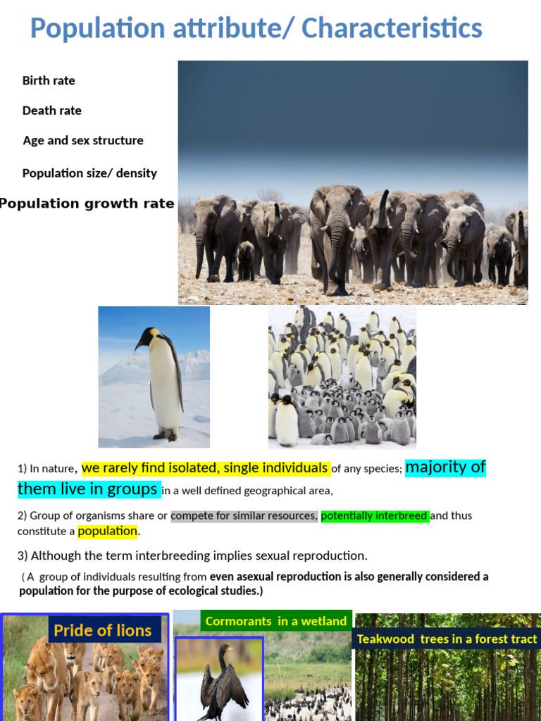 Key Population Characteristics Explained | PDF | Evolution | Ecology