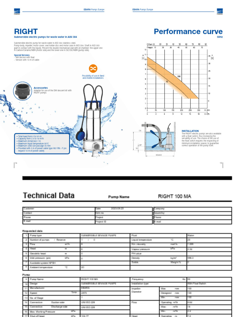 Data Sheet RIGHT 100 MA | PDF | Pump | Mechanical Engineering