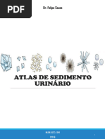 Atlas de Urinalise1 | PDF
