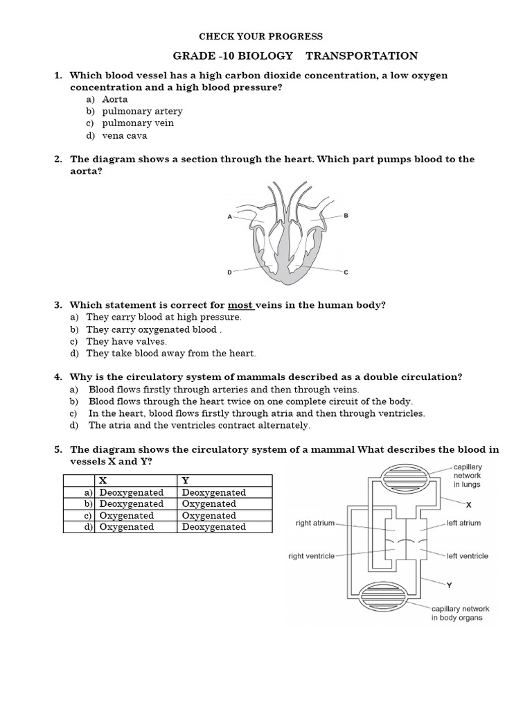 Assignment Mcq-Lifeprocesses 20230728132834 | PDF | Circulatory System ...