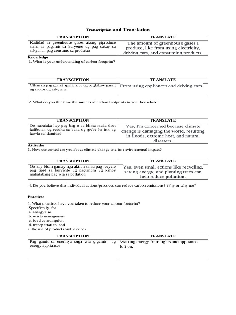 Transciption and Translation Respondent 3 | PDF | Carbon Footprint ...