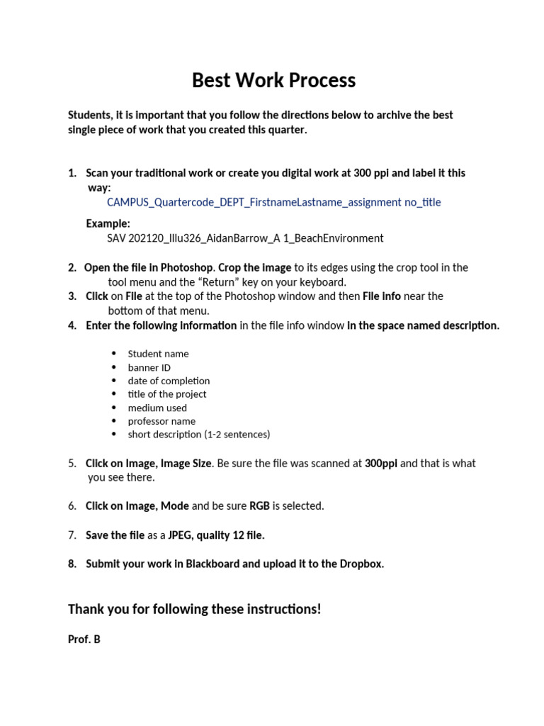 File Labeling And Formatting Process F24 1 Pdf
