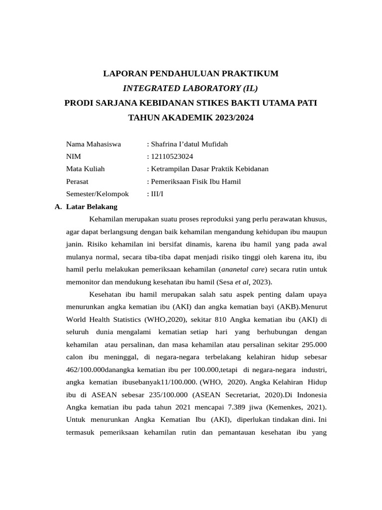 LP Pemeriksaan Fisik Ibu Hamil Shafrina | PDF